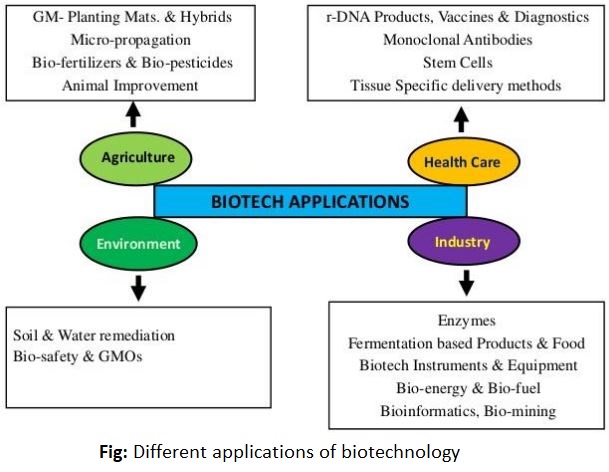 NCERT Revision Notes for Chapter 10 Biotechnology and its Applications ...