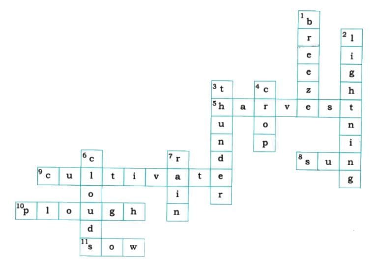 NCERT Solutions for Chapter 12 Waiting for the Rain Class 8 English ...