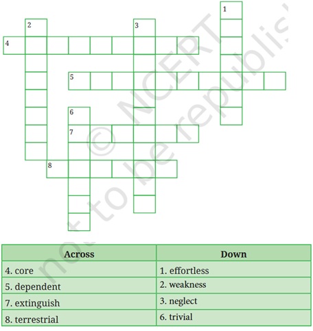NCERT Solutions for Chapter 15 Bibha Chowdhuri- The Beam of Light that ...