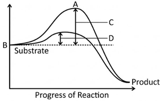 The figure given below shows the conversion of a substate into product ...